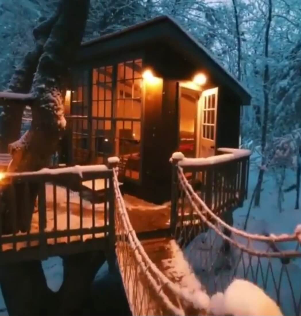 Tree House | Designed for Adults | Landscaping Blog