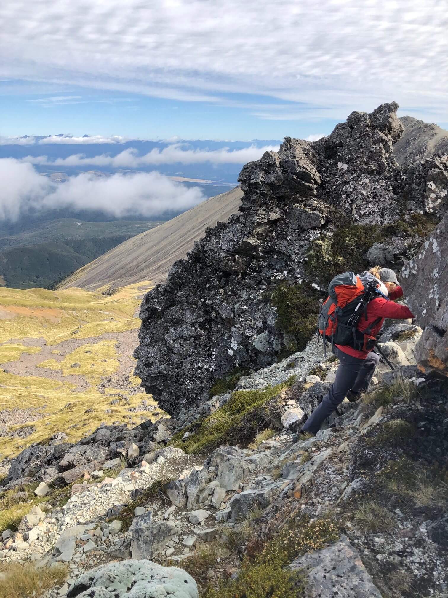 Wild Plant Hunting in New Zealand | Landscape Design Blog
